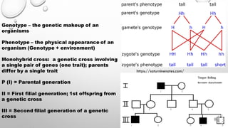 PRESENTATION basic principle of genetic disease.pdf