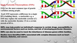 PRESENTATION basic principle of genetic disease.pdf