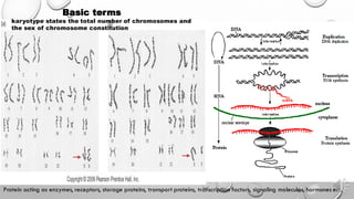 PRESENTATION basic principle of genetic disease.pdf