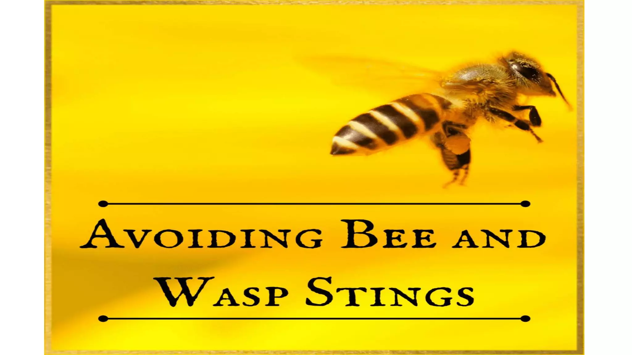 presentation_Bee and Wasp stings.pptx