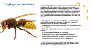 presentation_Bee and Wasp stings.pptx