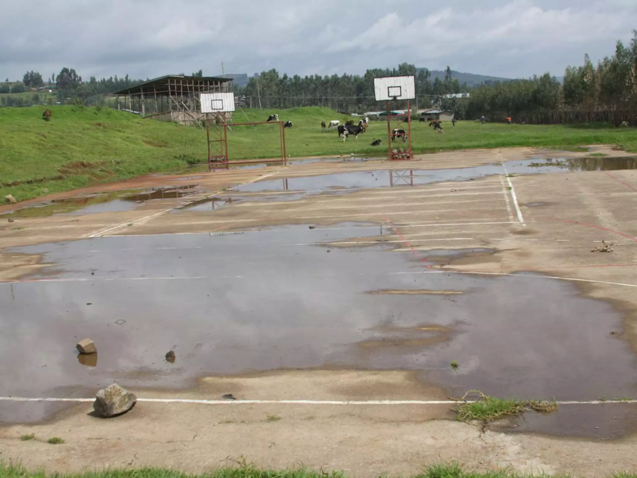Bekoji, the Ethiopian town of runners photos | PPT