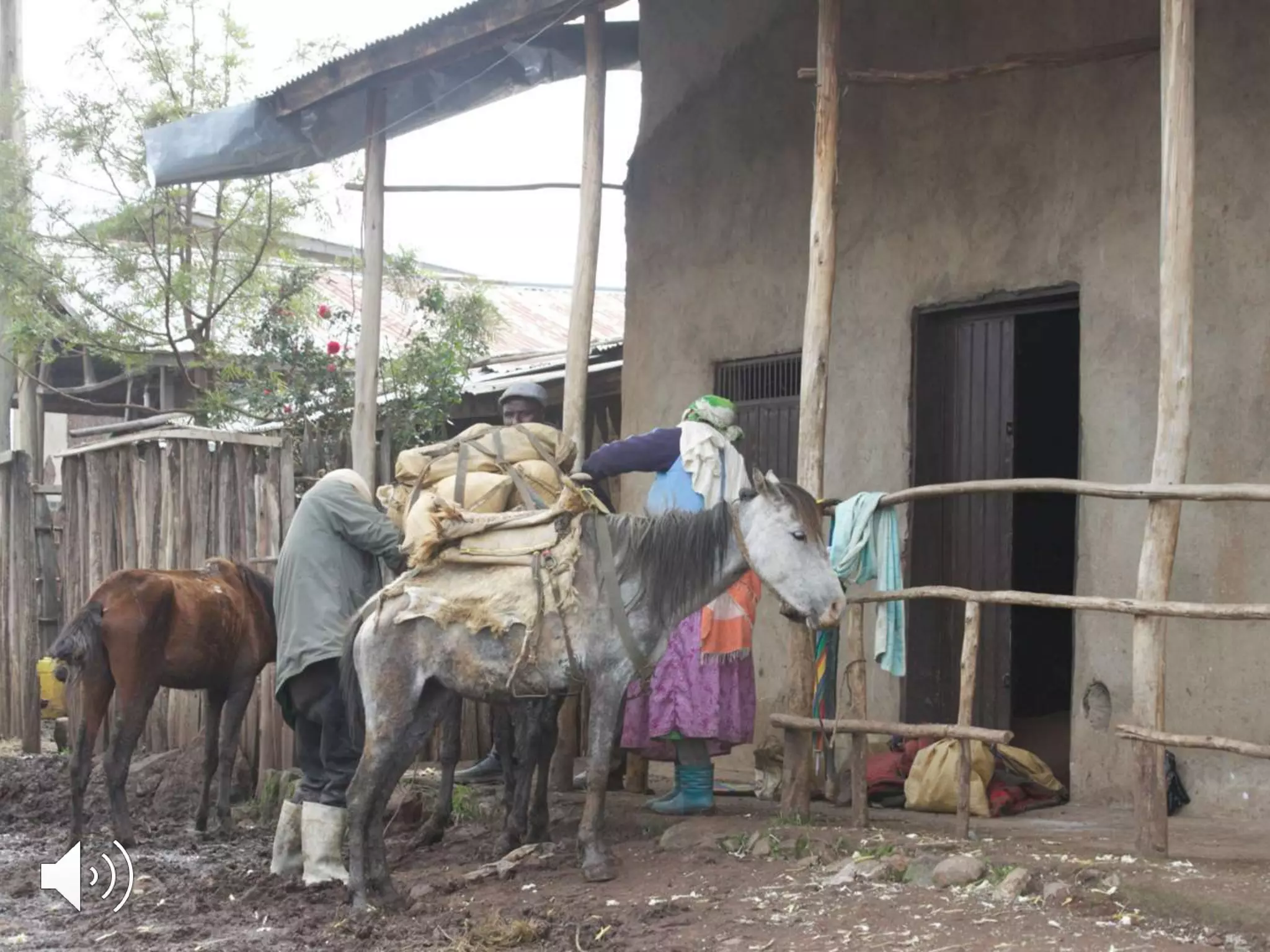 Bekoji, the Ethiopian town of runners photos | PPT