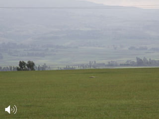 Bekoji, the Ethiopian town of runners photos | PPSX