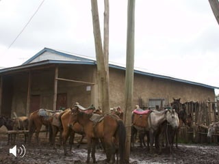 Bekoji, the Ethiopian town of runners photos | PPSX