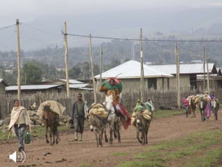 Bekoji, the Ethiopian town of runners photos | PPSX