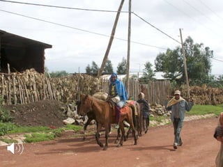 Bekoji, the Ethiopian town of runners photos | PPSX