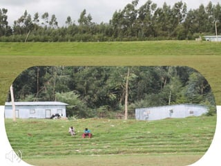 Bekoji, the Ethiopian town of runners photos | PPSX