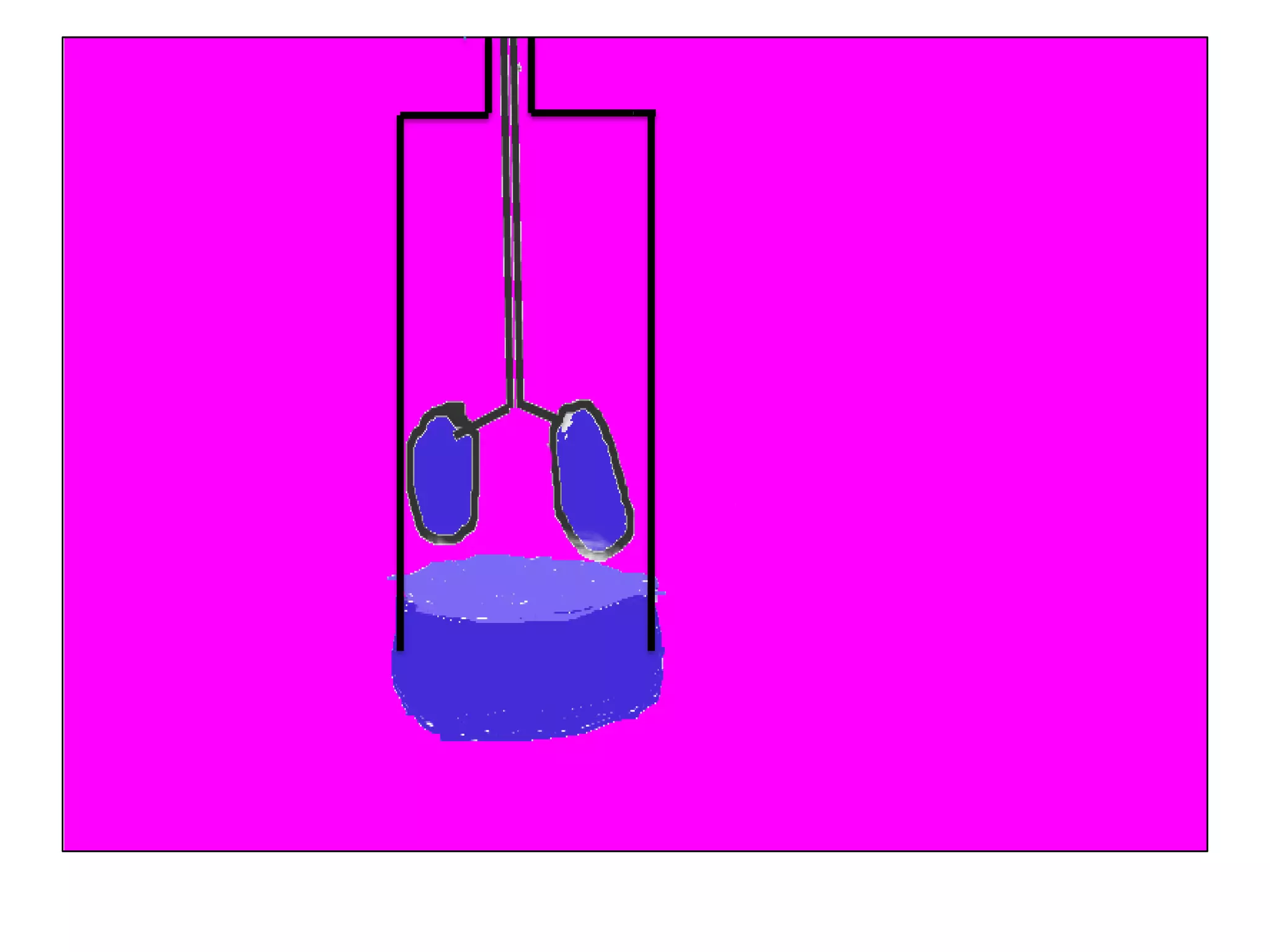 Bell jar model | PPT