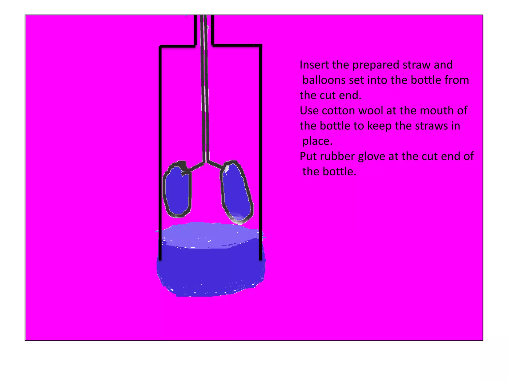 Bell Jar Model | PPT