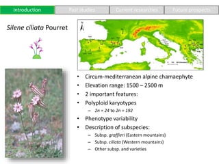 Presentation berlin 2015 alfredo garcia fernandez | PPT