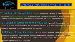 Sympathomimetic and sympatholytic drugs BY Bharti | PPTX