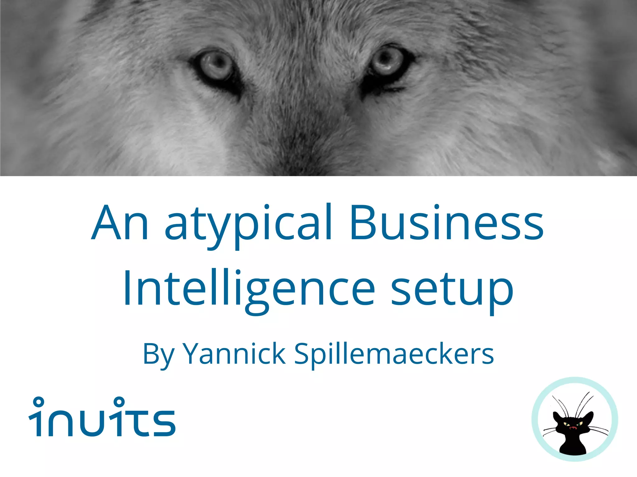 An atypical Business Intelligence setup | PDF