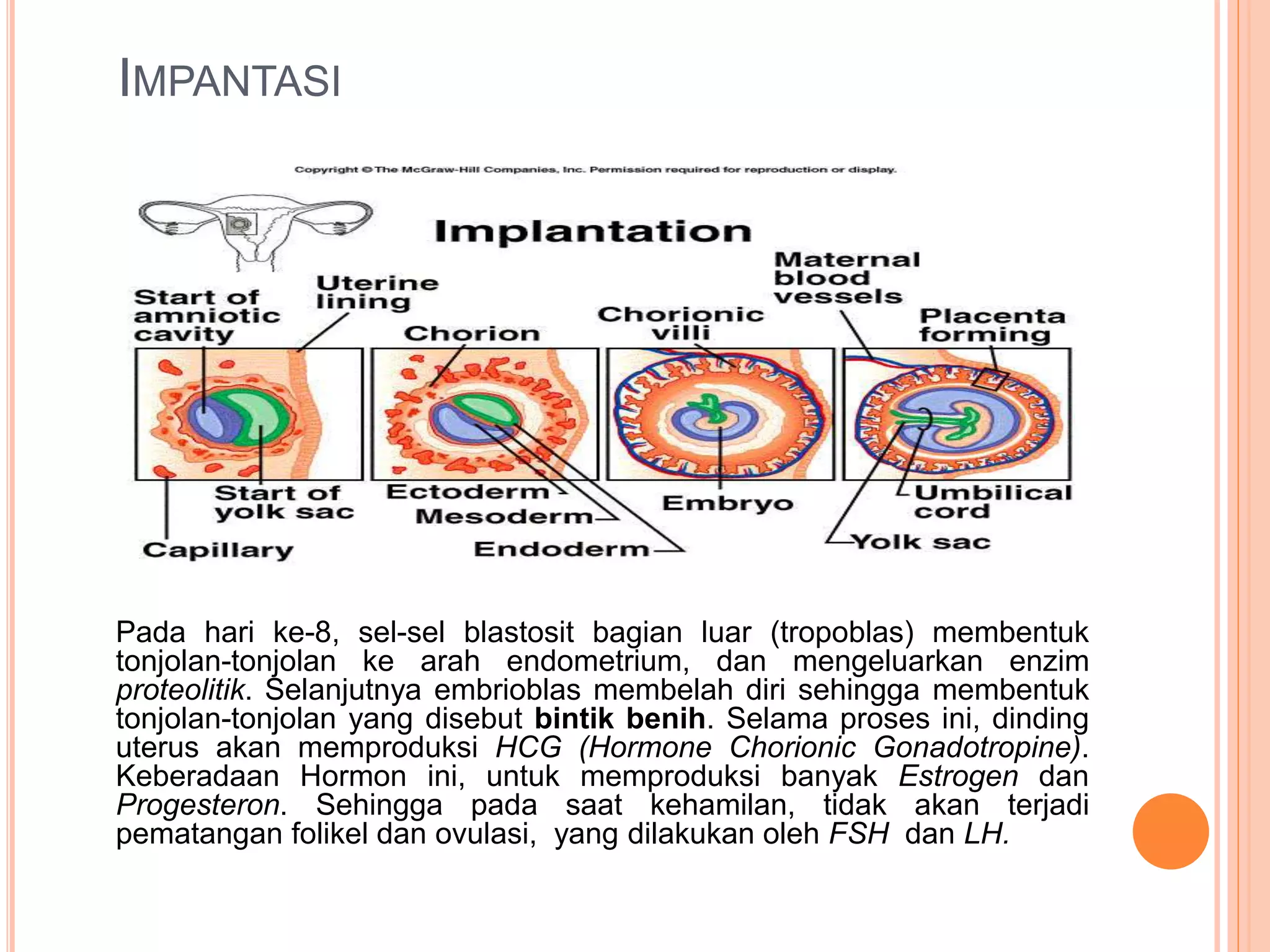 Presentation biologi Kehamilan | PPTX