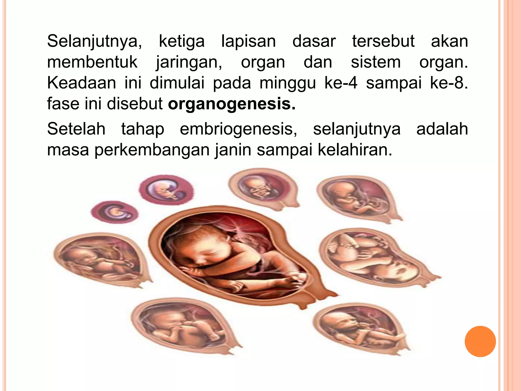 Presentation biologi Kehamilan | PPTX