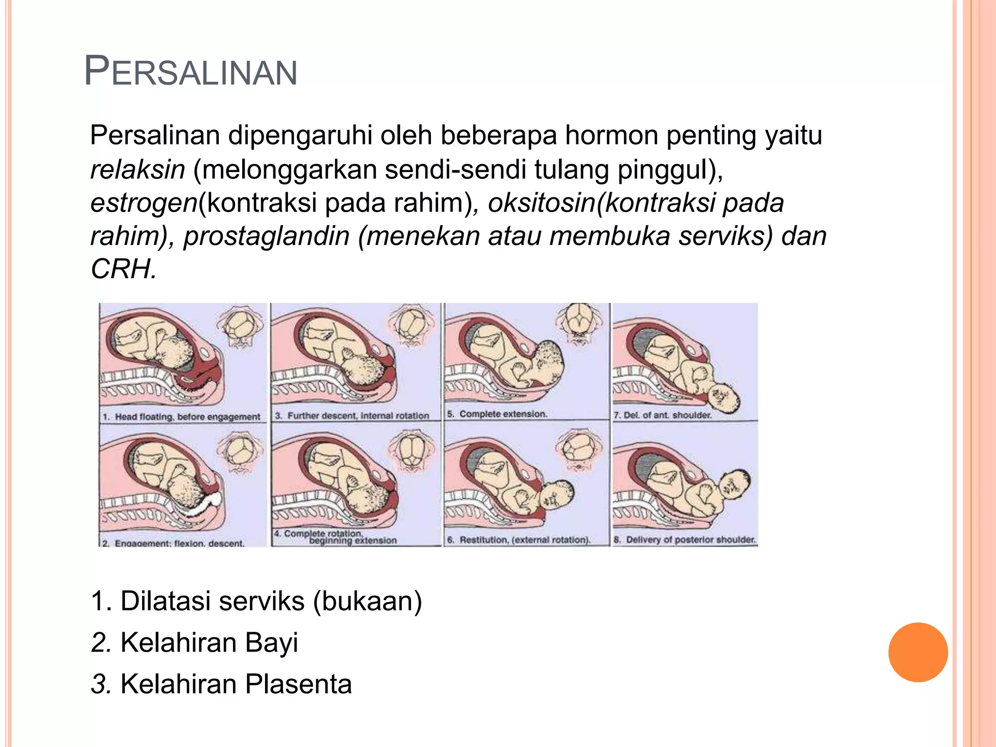 Presentation biologi Kehamilan | PPTX