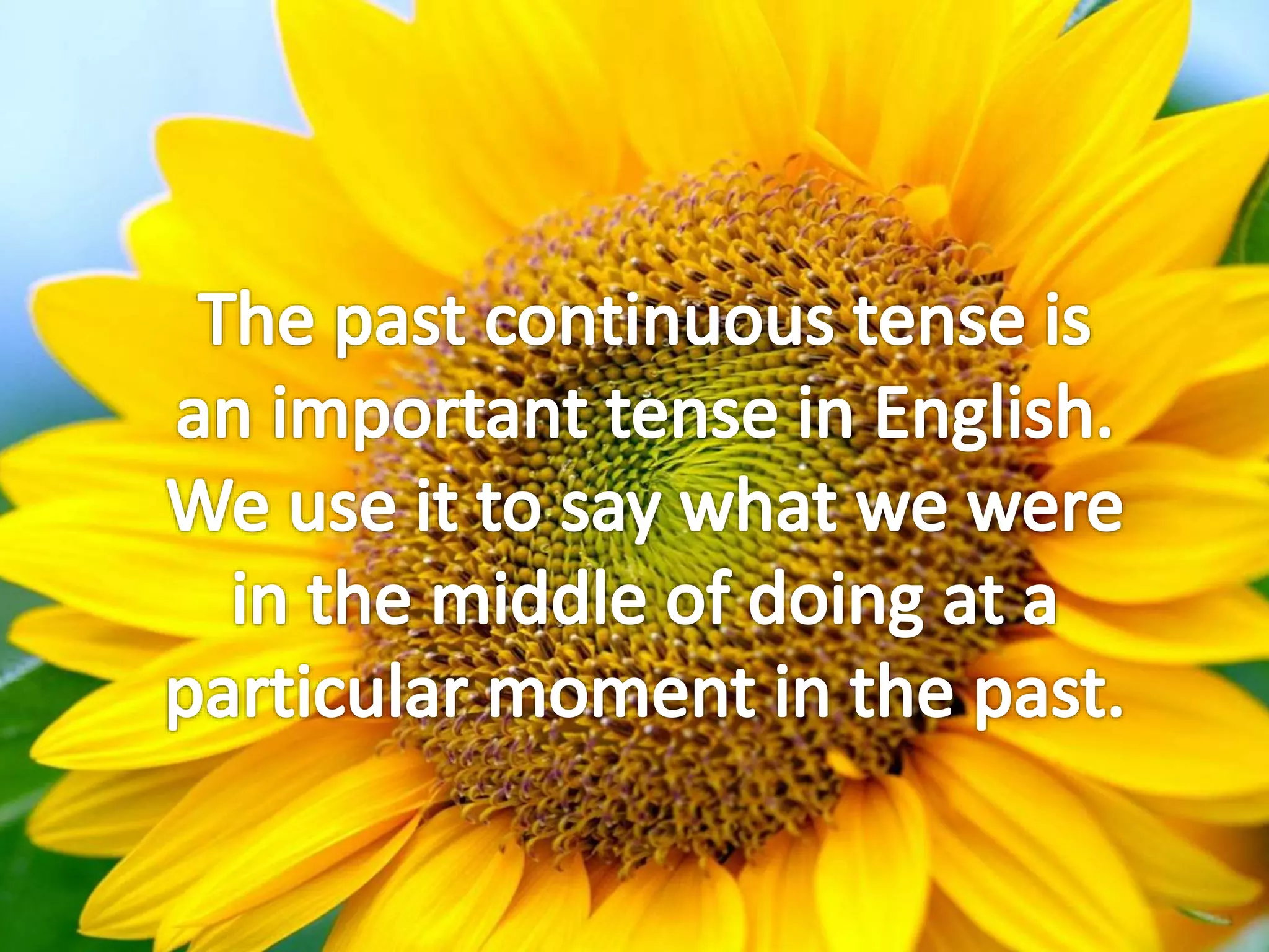 PAST CONTINUOUS TENSE | PPT