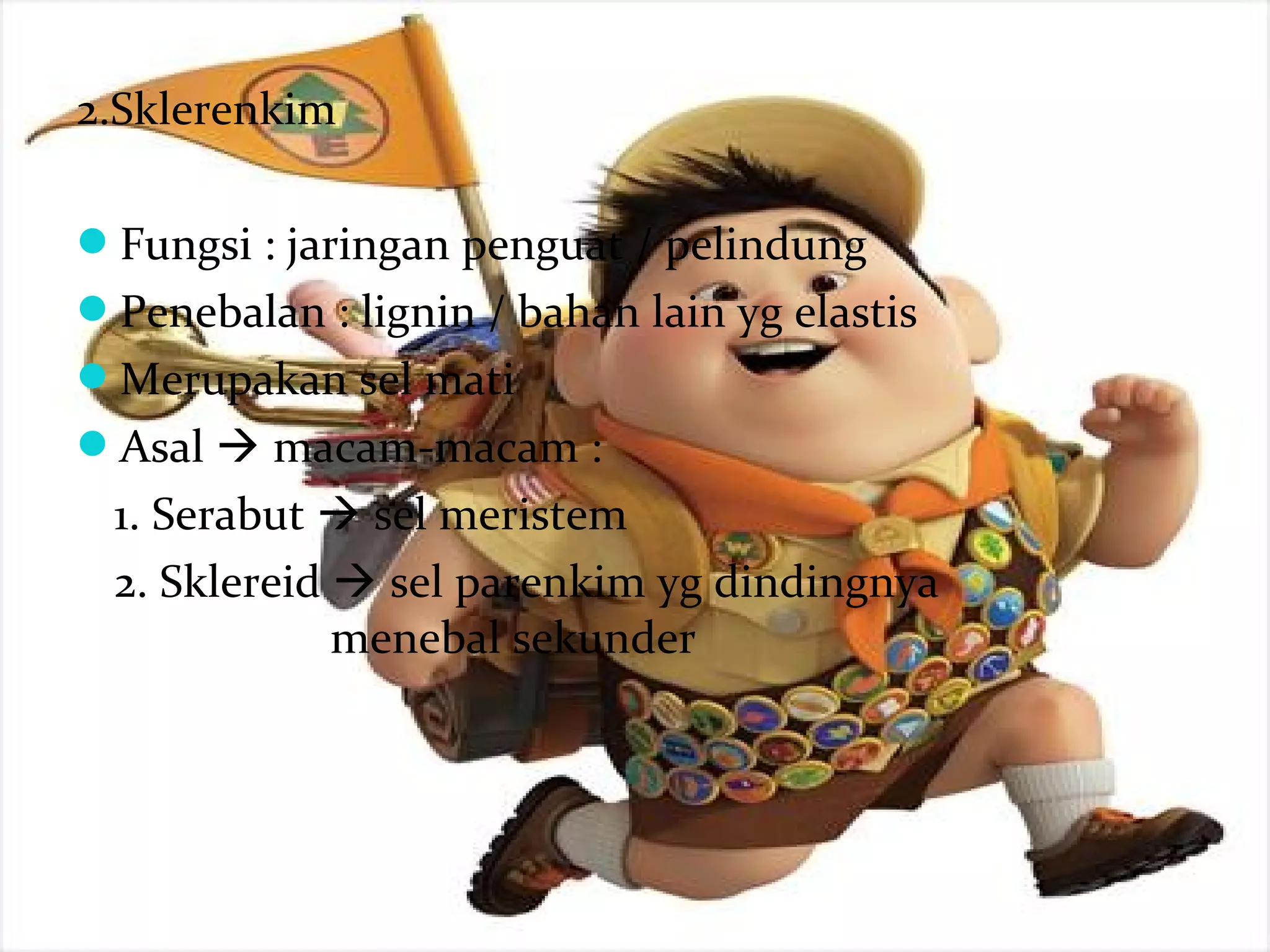 struktur dan fungsi jaringan tumbuhan | PPT