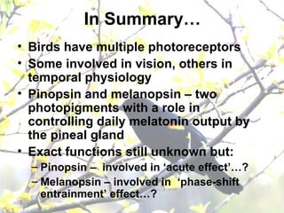 melanopsin 332 | PPT