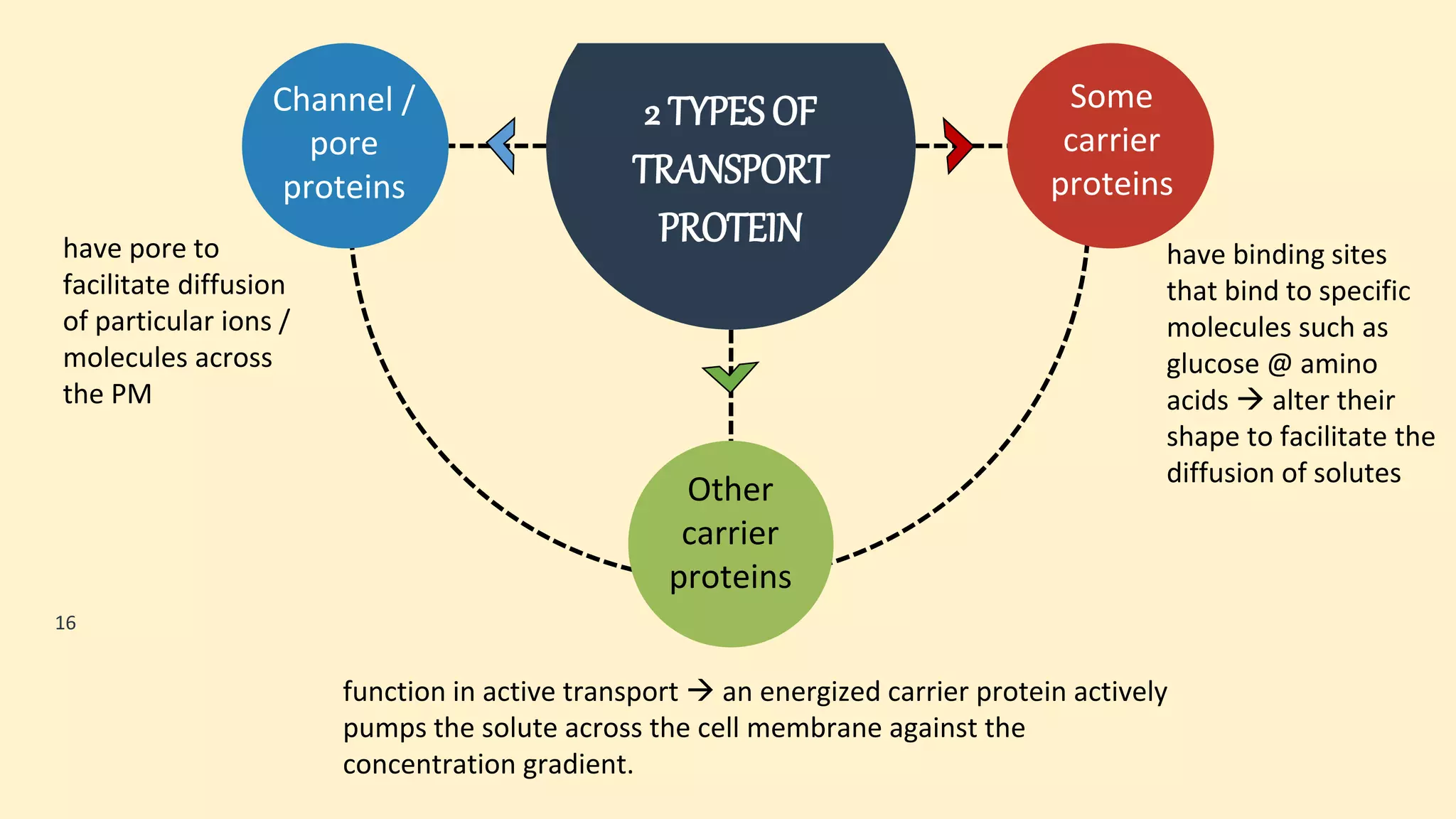 BIOLOGY FORM 4 CHAPTER 3 | PPTX