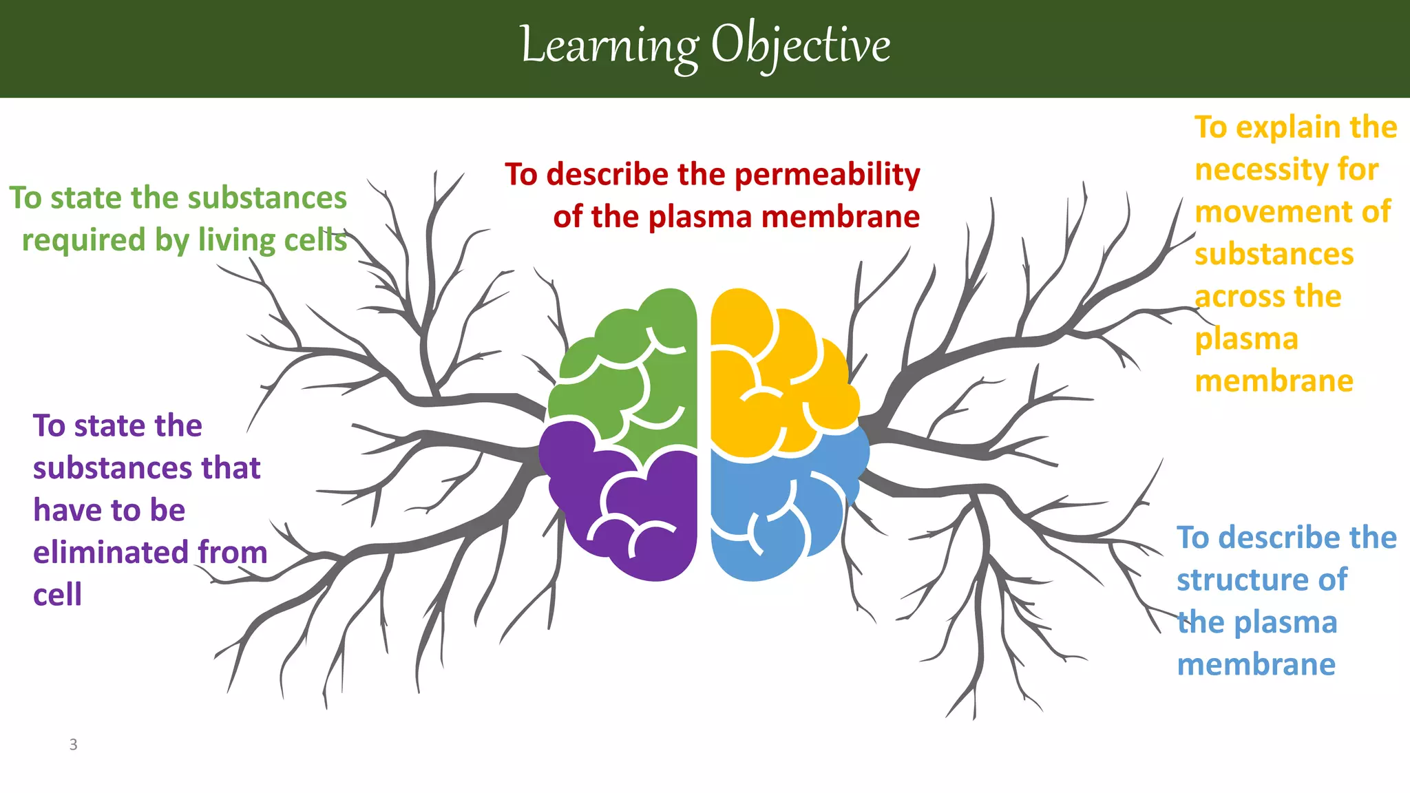 BIOLOGY FORM 4 CHAPTER 3 | PPTX