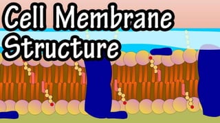 BIOLOGY FORM 4 CHAPTER 3 | PPTX