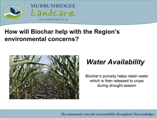 Presentation biochar (1) | PPT