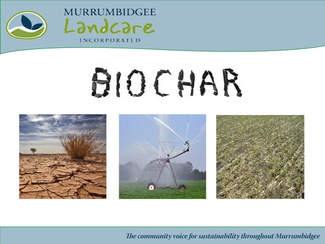 Presentation biochar (2) | PPT