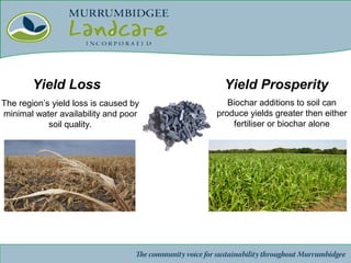 Presentation biochar (2) | PPT | Agriculture | Industries