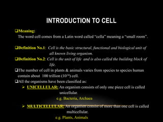 Prokaryotic Cell with detail in Biochemistry 2017 | PPTX