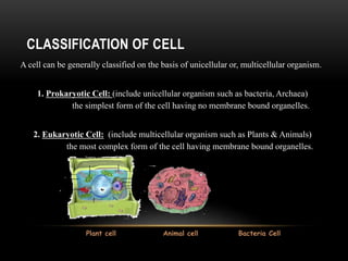 Prokaryotic Cell with detail in Biochemistry 2017 | PPTX