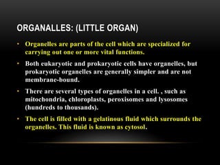 Prokaryotic Cell with detail in Biochemistry 2017 | PPT