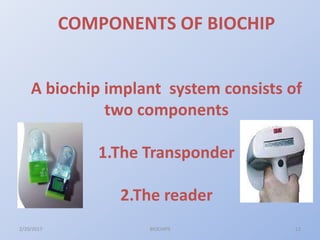 biochip presentation | PPTX