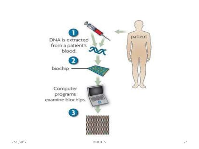 biochip presentation