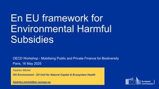 Biodiversity workshop, May 2025, Hadrien Michel | PDF