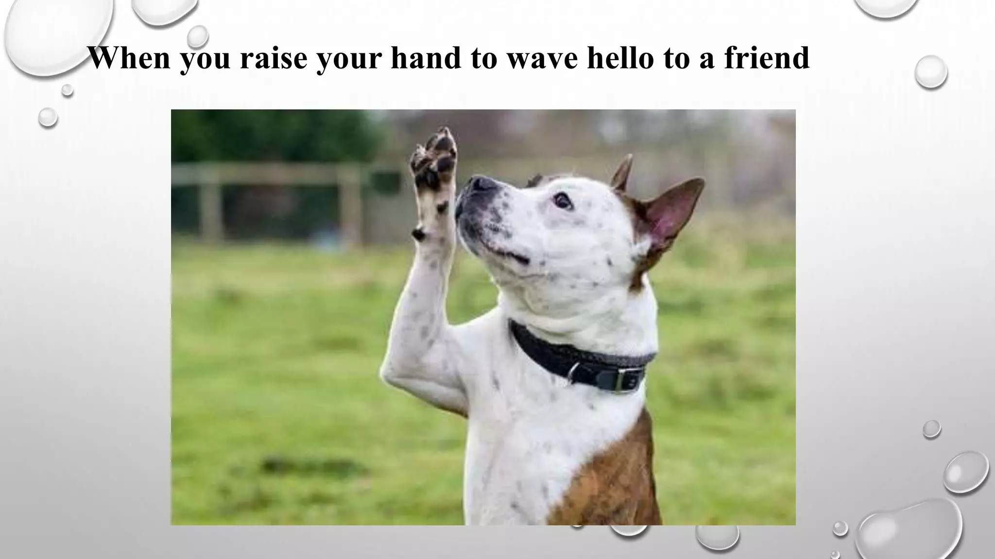 Biofeed back | PPTX | Physical Therapy | Wellness