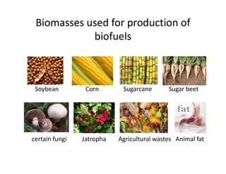 BIOFUEL | PDF