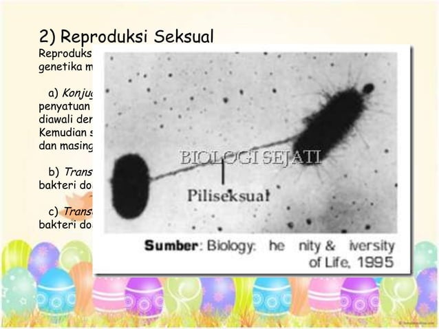 Presentation biologi | PPTX