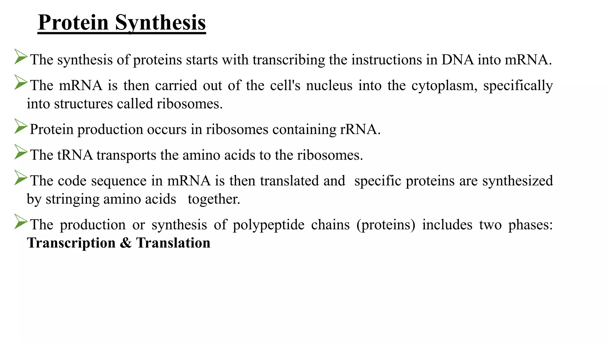 Role of DNA and A in Protein synthesis | PPTX