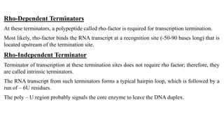 Role of DNA and A in Protein synthesis | PPTX