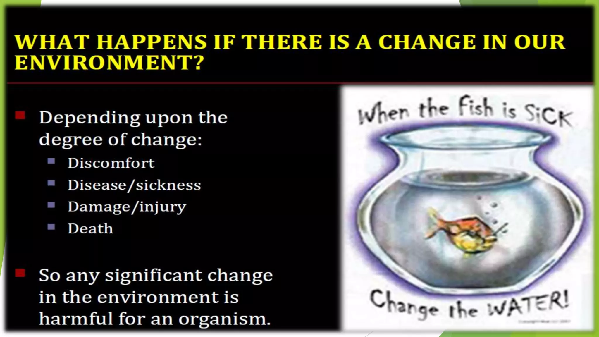 Presentation biology | PPTX | Biological Sciences | Science