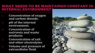 Presentation biology | PPTX | Biological Sciences | Science