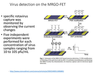 Presentation biomedical virus detection_prabeen_kattel | PPT