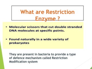 Presentation Bio technology-1.pptxxxxxxx | PPT