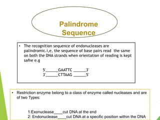Presentation Bio technology-1.pptxxxxxxx | PPT