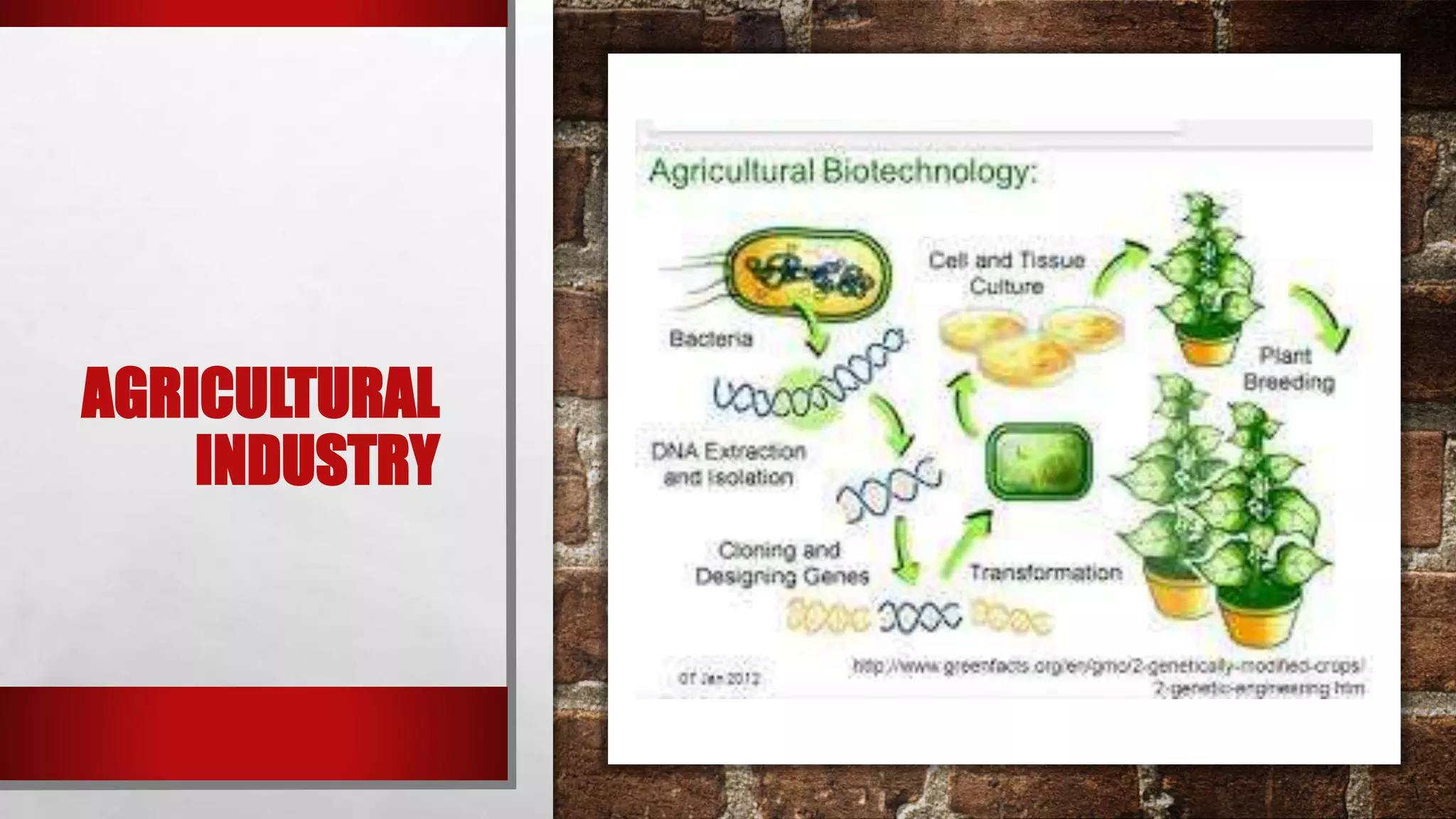 presentation biotechnology.pptx