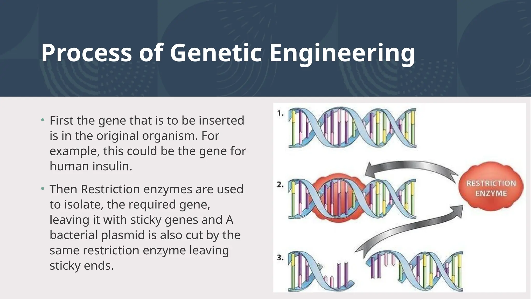 presentationbiotechnologyandgeneticengineering-210822163345.pptx