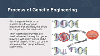 Biotechnology and Genetic Engineering | PPTX