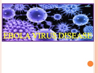 EBOLA VIRUS DISEASE | PPTX
