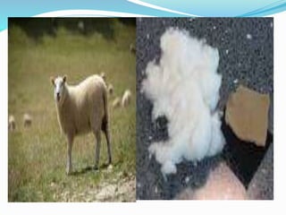 Presentation of wool fibre | PPTX